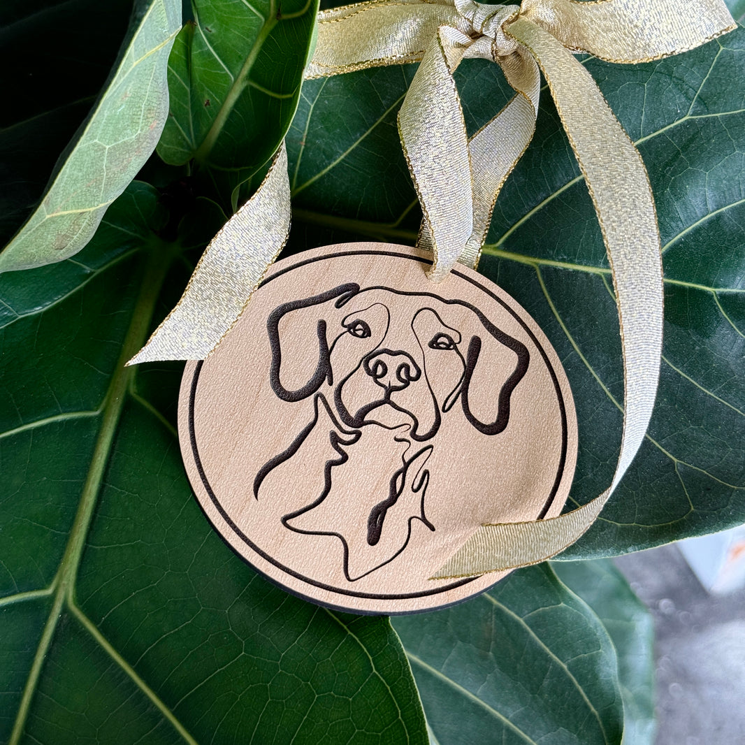 Custom Pet Portraits – Char and Whiskers