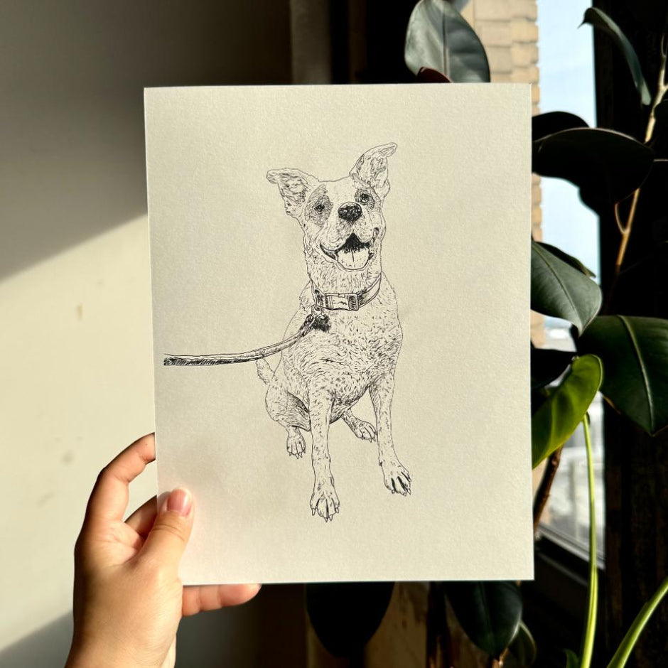 Custom Pet Portraits – Char and Whiskers