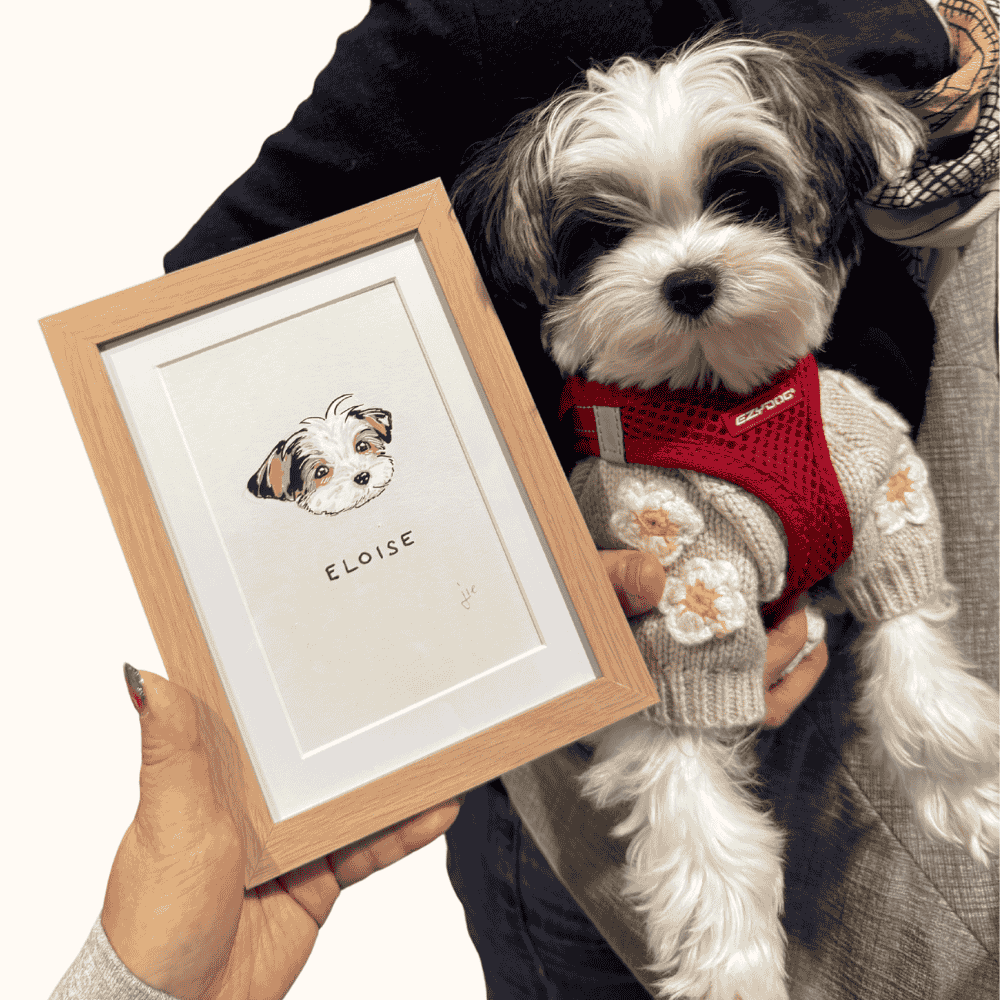 Custom Pet Portraits – Char and Whiskers