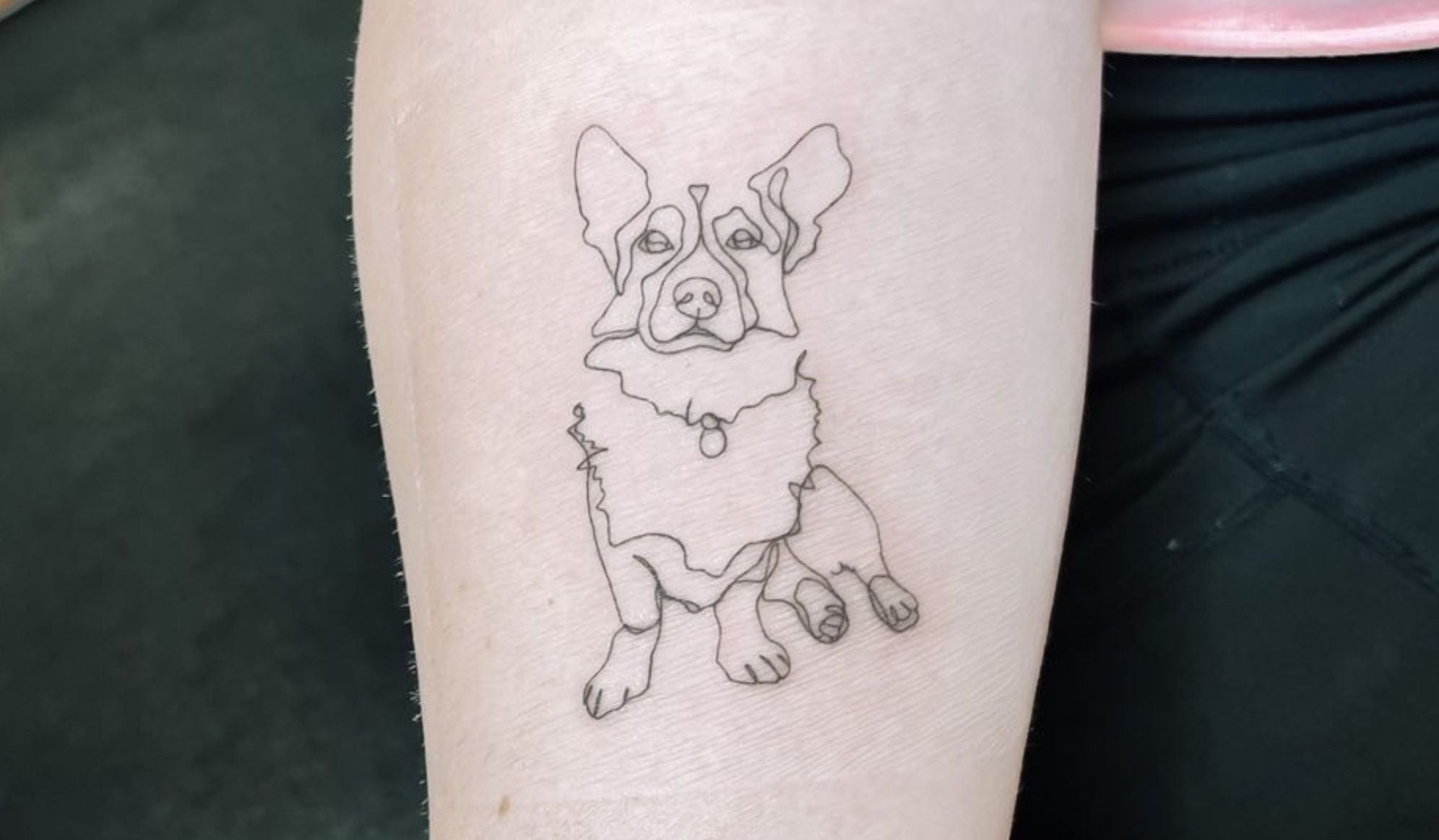 Custom Pet Tattoos – Char and Whiskers