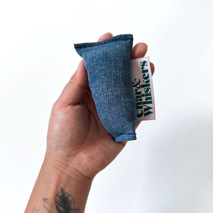 The Ultimate List of DIY Cat Costumes for Halloween – Char and Whiskers