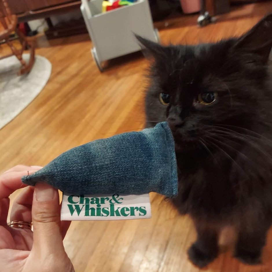 Custom Pet Tattoos – Char and Whiskers